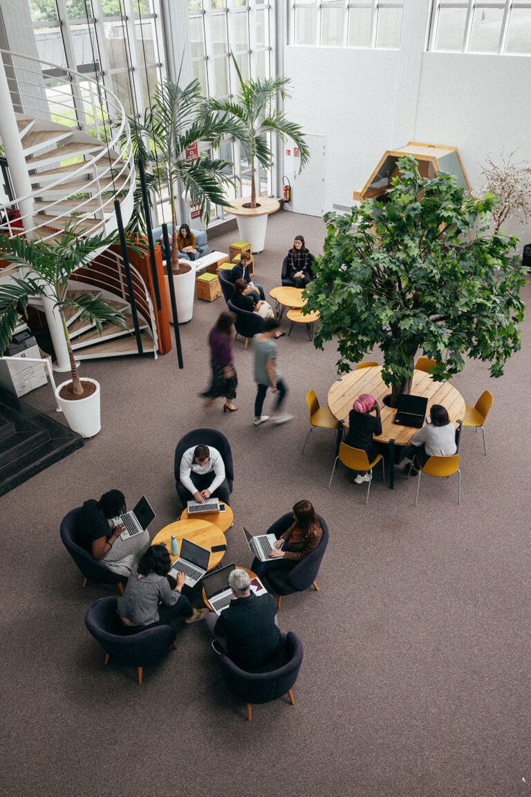 Label B Corp : ce qu'il faut savoir - RSE Inside